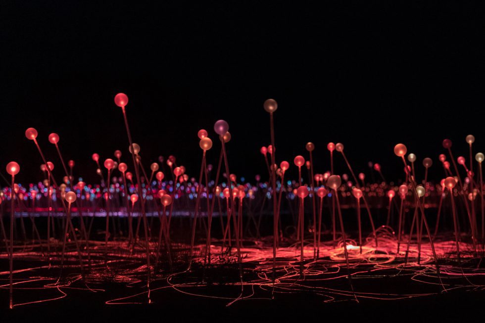 Uluru Light Show - Australia Bucket List