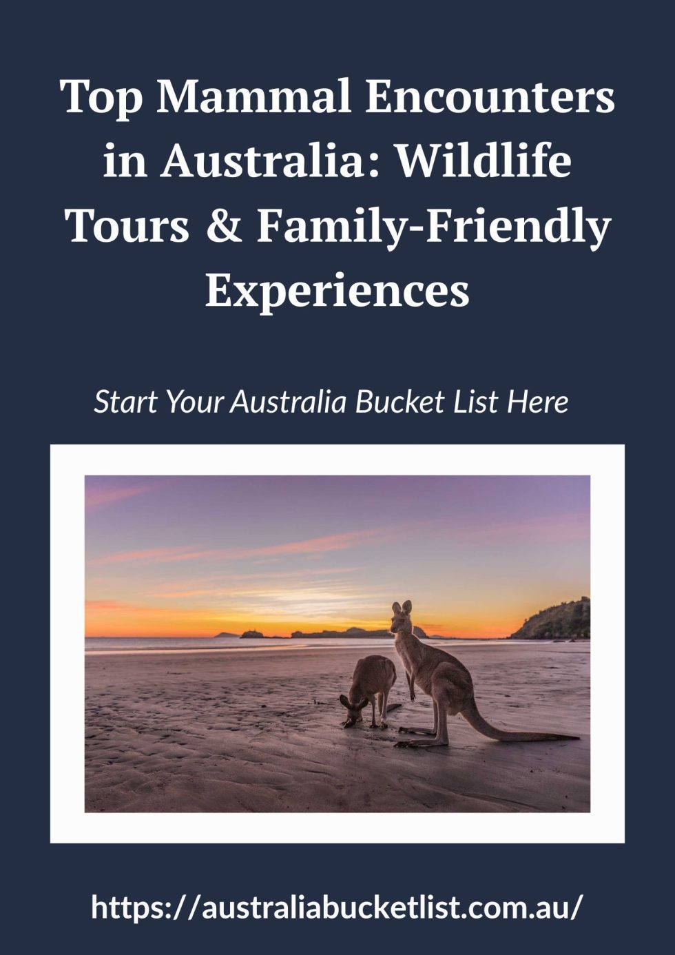 Top Mammal Encounters in Australia: Wildlife Tours & Family-Friendly ...