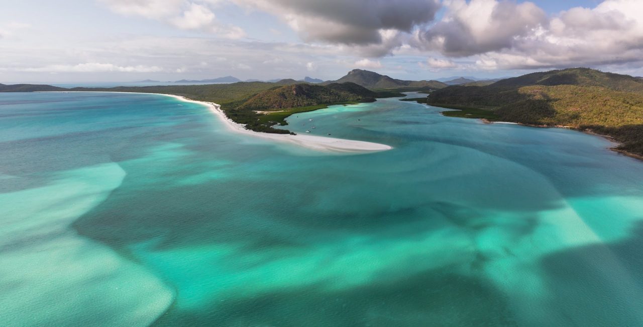 Australian Marine Animals: Where to See Dolphins, Whales, Sharks & More ...